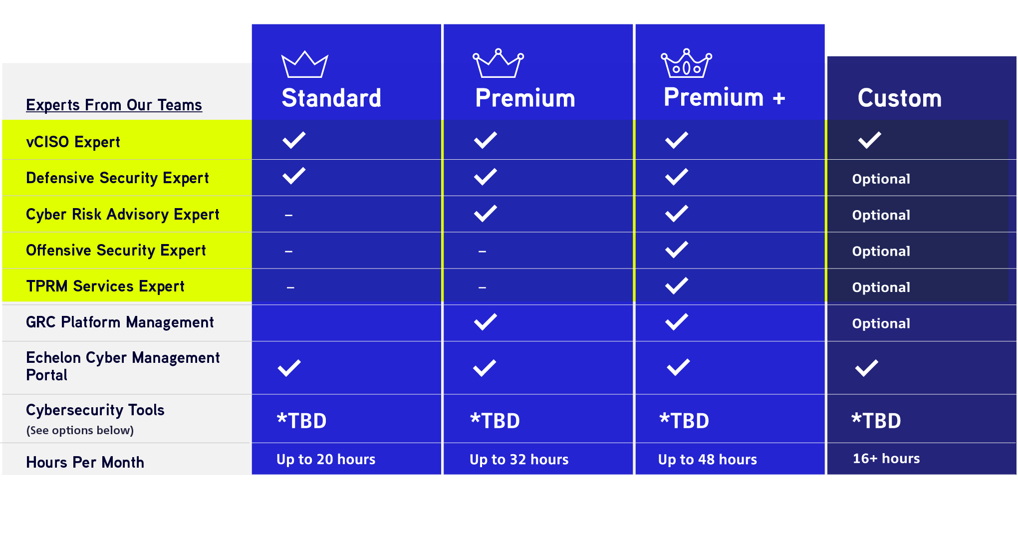 vCISO-led Security Team as a Service // Echelon Risk + Cyber